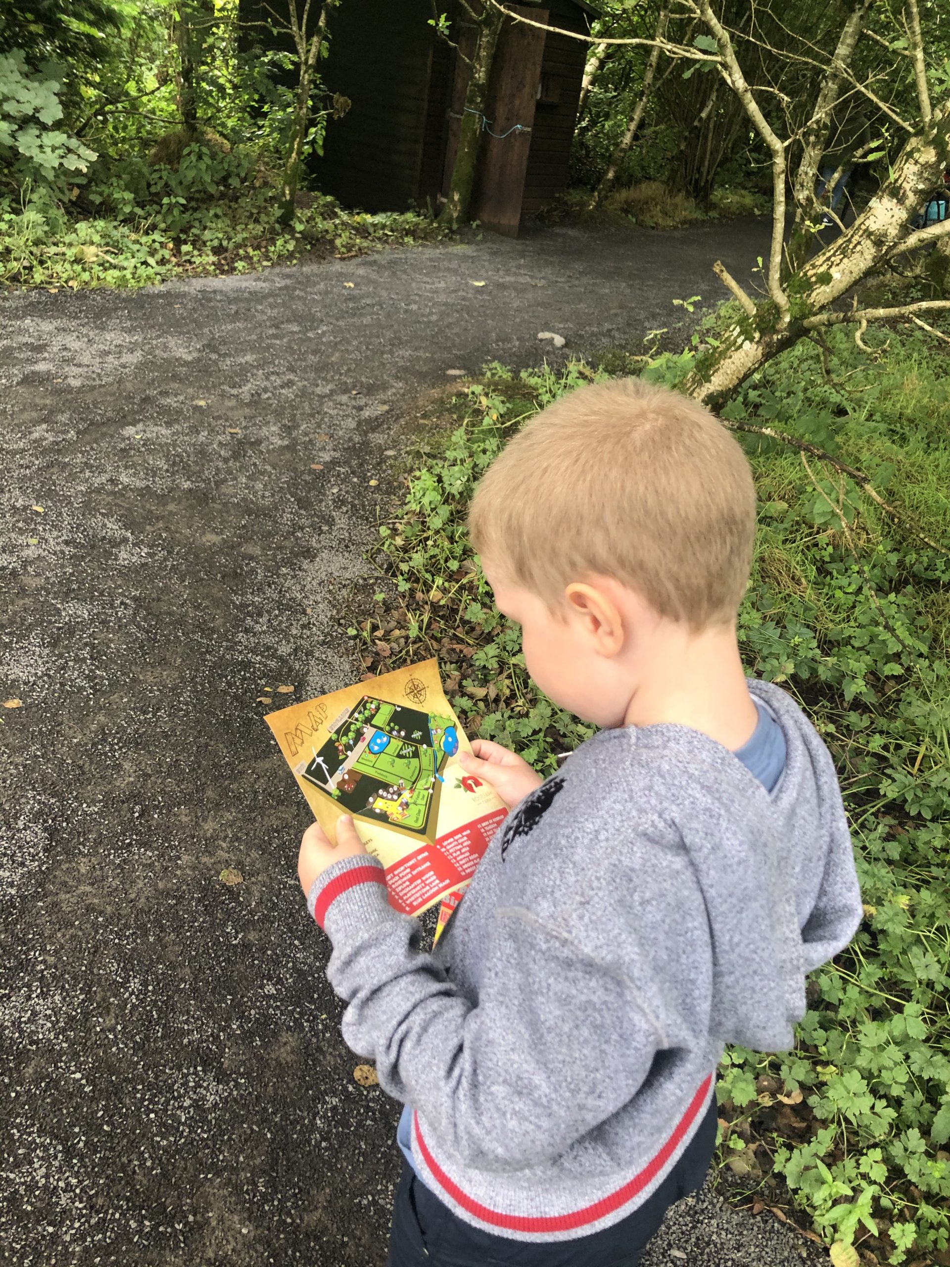 Rosepark Farm – Ballymoney – Queen of Fire